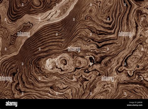 Texture Of Roots Of Tree With Wavy Lines And Age Rings Abstract