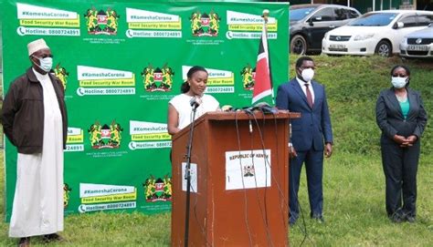 Maize Aflatoxin Contamination A Major Drawback Of Food Security In Kenya Panafrican Agriculture