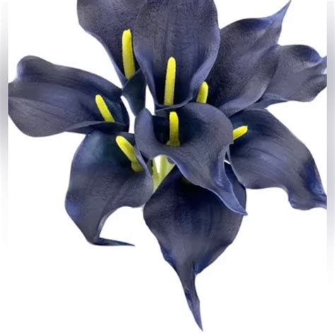 Jewelry Navy Calla Lily Petals Blue Pressed Preserved Dried Flower