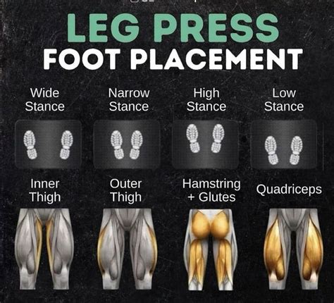Leg Press Foot Placement