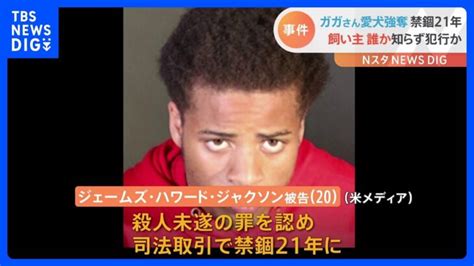 レディー・ガガさんの犬強奪事件 散歩代行の男性を撃った男に禁錮21年｜tbs News Dig │ 【気ままに】ニュース速報