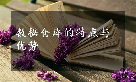 数据仓库的特点与优势 导文