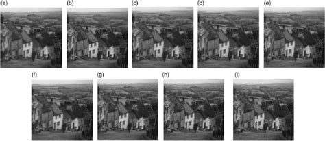 the fusion results of goldhill images a source image a b source