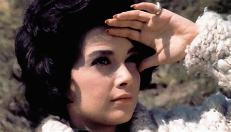 Pictures Of Suzanne Pleshette Pictures Of Celebrities