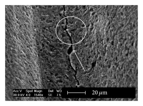 Embedded Foreign Particles On Full Cracks And Crack Like Defects As Download Scientific