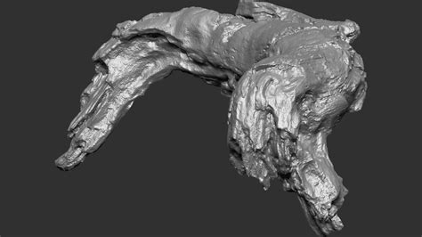 3d 3d Scan Of Tree Trunk In Highpoly Turbosquid 2152044 3d 3d Scan Of Tree Trunk In Highpoly Turbosquid 2152044