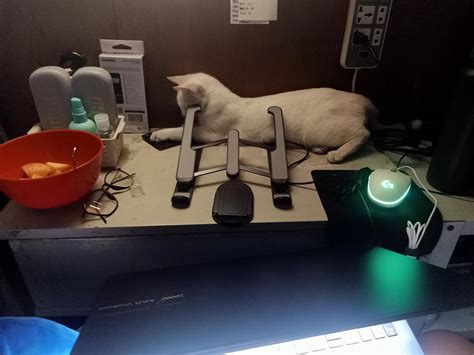 Ako Na Nag Adjust Natulog Na Eh R Catsofrph