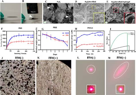 A B Fe 3 S 4 Ferrofluid Hydrogel Could Be Attracted By A Magnet Download Scientific Diagram