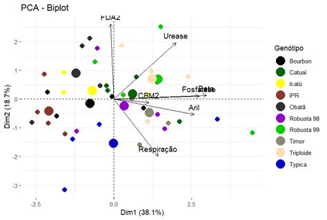 R How To Set The Same Size To All Points In Pca From Fviz Pca Biplot Stack Overflow