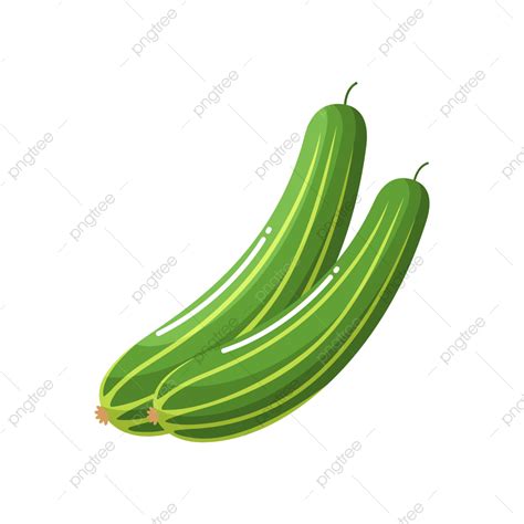 오이 평면 디자인 벡터 일러스트 레이 션 흰색 배경에 고립 오이 평면 디자인 클립 아트 Png 일러스트 및 벡터 에 대한