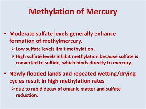 Ppt Mercury In The Environment Powerpoint Presentation Free Download Id 2250078
