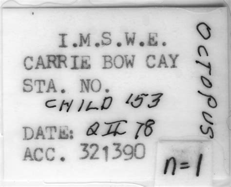 Octopus Sp Smithsonian Institution