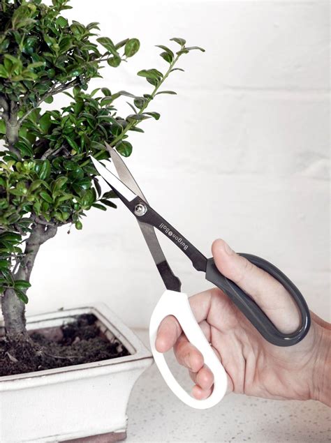 Burgon And Ball Japanese Pruning Scissors — Gardening Ts Co