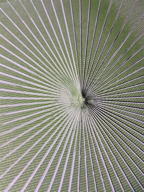 Rhythm R Creativecoding