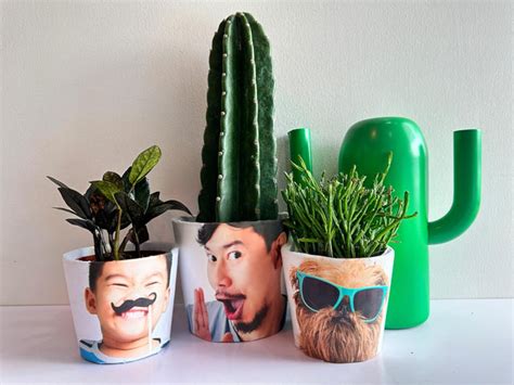 Potted Plants Urban Farmer Mnl
