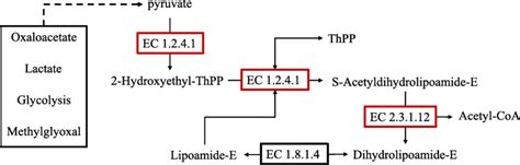 Representative Metabolic Pathway Maps Of Differentially Expressed