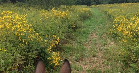 The View Between Two Ears Album On Imgur