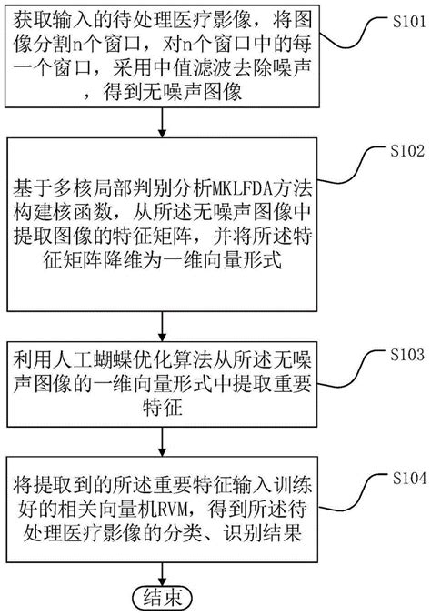一种基于人工蝴蝶优化算法的医疗影像处理方法及装置与流程