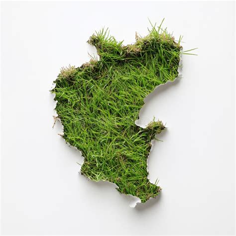 Piece Of Grass Breaking Through The Paper Stock Illustration Illustration Of Minimalism