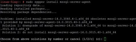Install Sql Server Agent On Suse