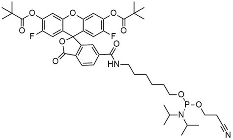 Cas 2304636 67 5 Fam Xtra Phosphoramidite Probes Boc Sciences