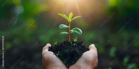 Mathematical Model Illustrating Population Growth And Resource Depletion Dynamics Concept