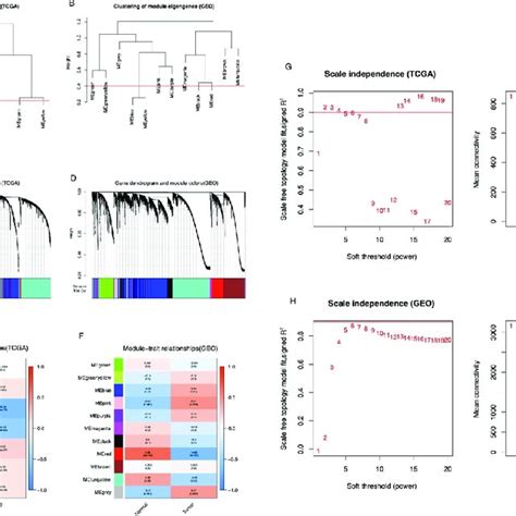Identification Of Modules Correlated With The Clinical Phenotype In The
