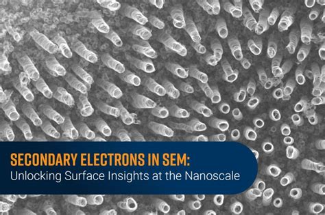 Nanoscience Instruments On Linkedin Sem Nanotechnology Phenomsem