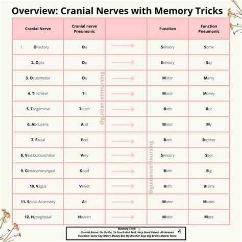 Your Nursing Resource On Instagram A Prof Introduced This Mnemonic To Our Class In Nursing