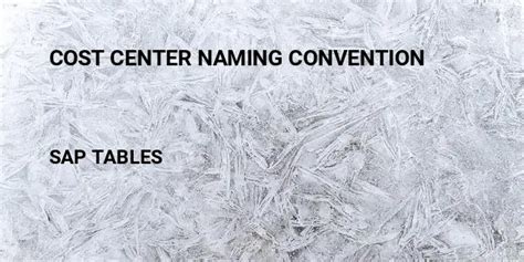 Cost Center Naming Convention Table In Sap