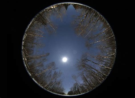 Astro Bob Comet Ztf Clips Capella At Full Snow Moon Duluth News Tribune News Weather And