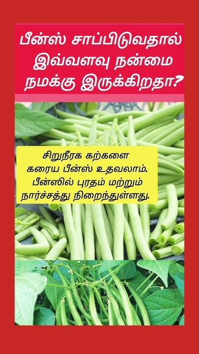 காய்கறிகள் ரொம்ப பிடிக்குமா அதிலும் பீன்ஸ் யாருக்கு பிடிக்கும் Youtubeshorts Tamil Useful