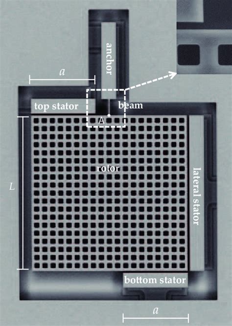 Sem Picture Of The On Chip Testing Device With A Close Up Of The