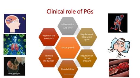Eicosanoids Chemistry And Function Pdf Endocrine And Metabolic