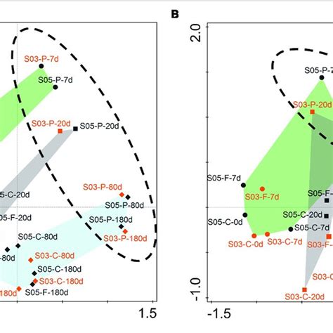 Qiang Zheng Professor Dr Zheng Xiamen University Xiamen Xmu