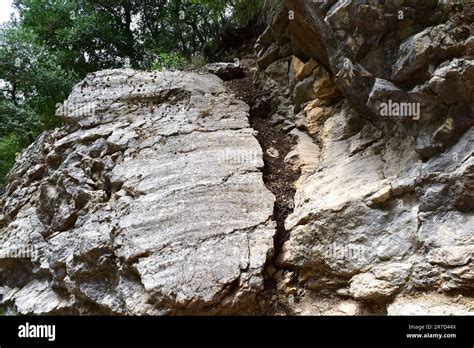Fault Plane Is The Fracture Surface Of Fault This Photo Was Taken In