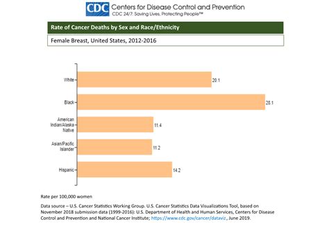 Solved Finding 2 New Data Visualizations About Breast