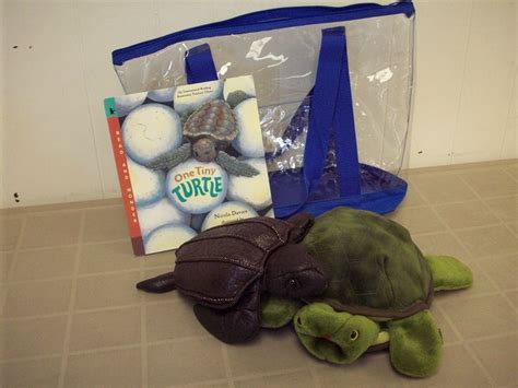 Two Turtles Book One Tiny Turtle Tiny Turtle Tiny Turtle
