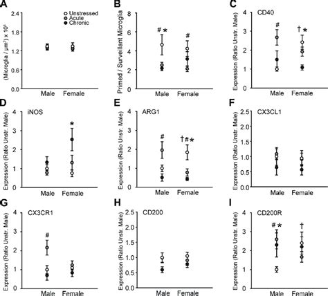 Sex And Stress Effects On Microglial Morphology And Immune Factor