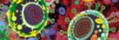 B Cell Subsets And Development Quiz