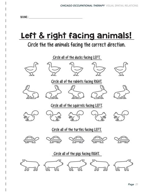 visual scanning ot goals