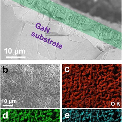 A Sem Cross Section Image Of The Film On The Substrate B Sem Download Scientific Diagram