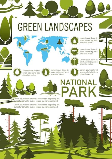Premium Vector Park Tree Poster For Landscape Architecture Design Premium Vector Park Tree Poster For Landscape Architecture Design