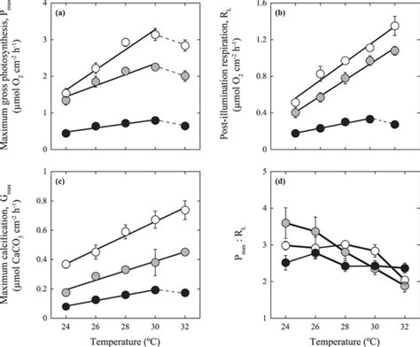 Scaling Metabolic Quotients Q10 For Photosynthesis Respiration And Download Scientific
