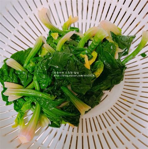 제철요리 섬초 시금치무침 황금레시피