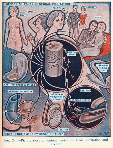 This Isn T Happiness The Illustrated Encyclopedia Of Sex Peteski