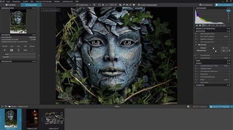 Contrast Optimization In Dxo Photolab 3
