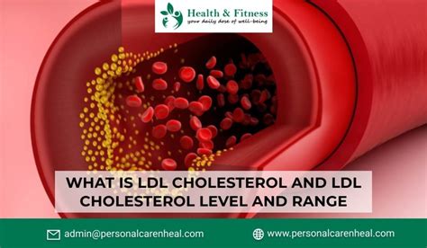 What Is Ldl Cholesterol And Ldl Cholesterol Level And Range