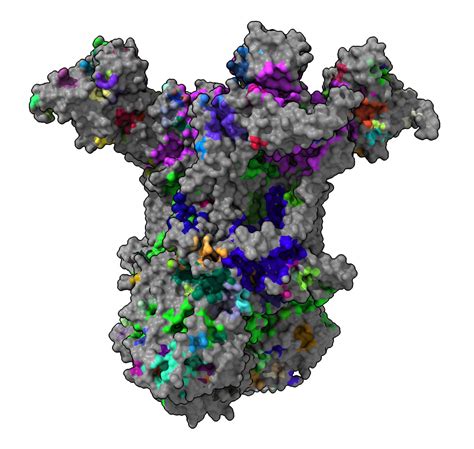 Read Castp Pockets File Chimerax Recipes