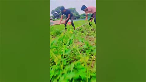 Shorts Video Love Patels Comedyvideos Duet Patel Funnyshorts Sad Patell Funnyvideos